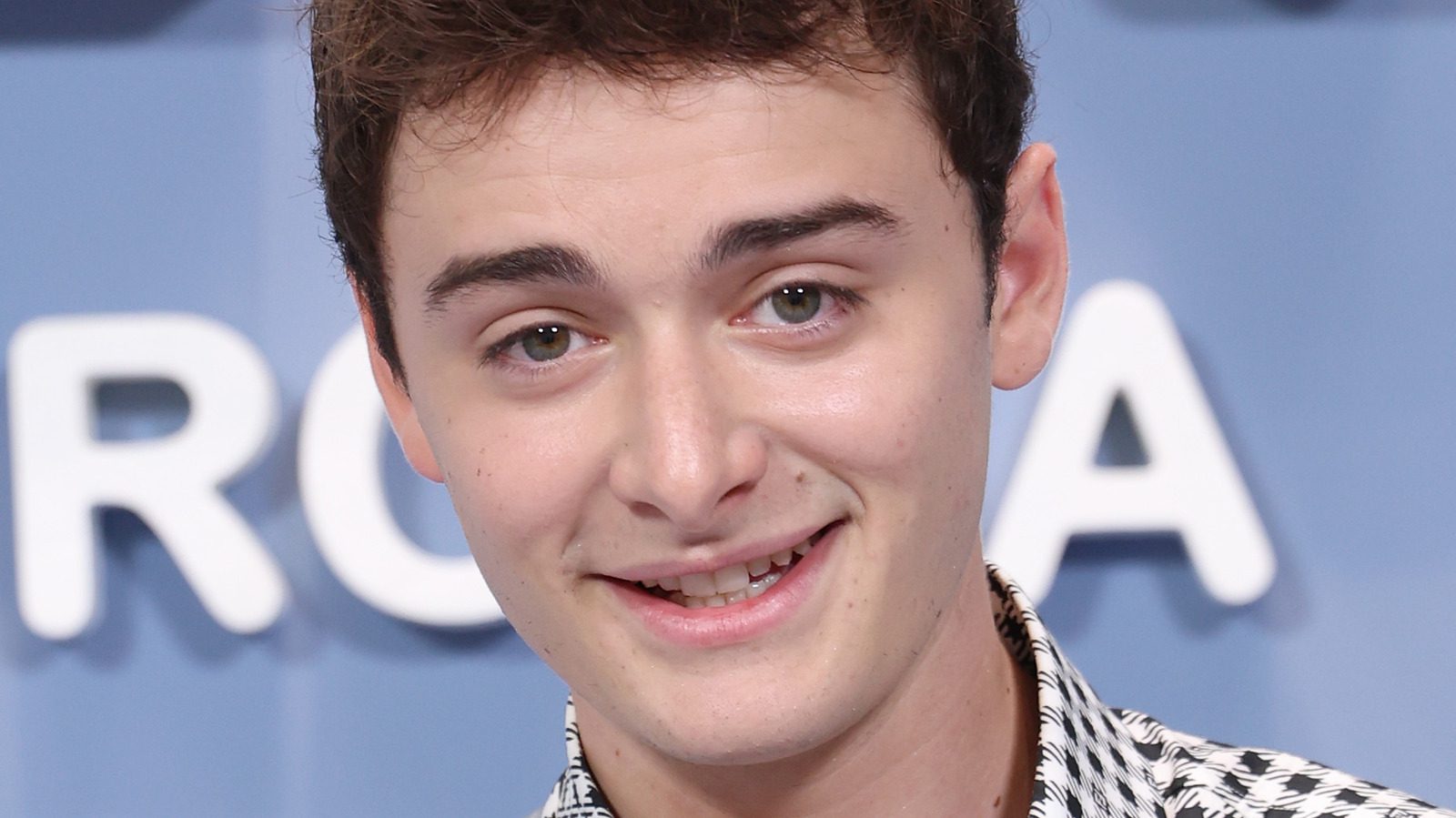 Noah Schnapp Biography, Age, Height, Family, Girlfriend, Stranger ...